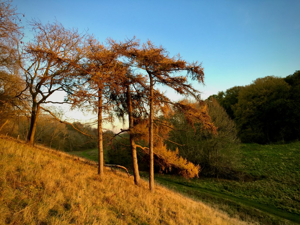 History – Literature & Landscape